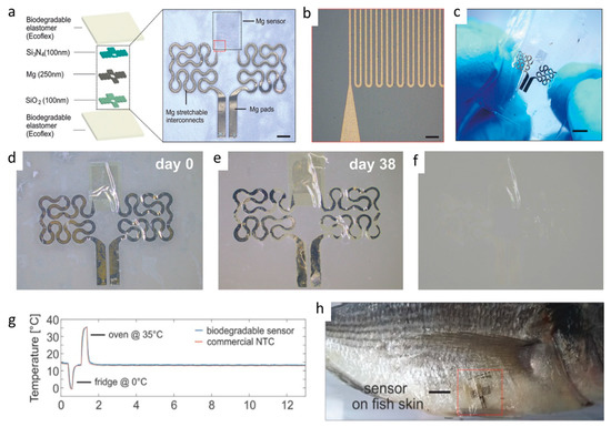 Sensors Made of Natural Renewable Materials: Efficiency, Recyclability ...