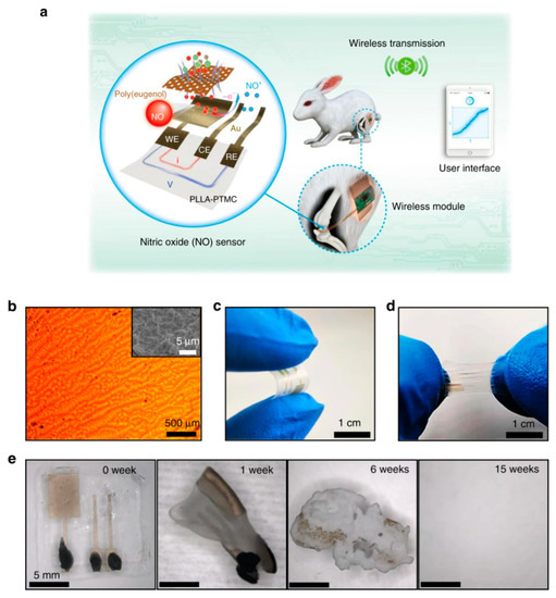 Sensors Made of Natural Renewable Materials: Efficiency, Recyclability ...
