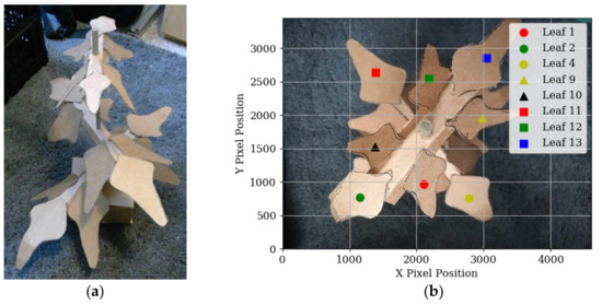 Plant Leaf Position Estimation with Computer Vision