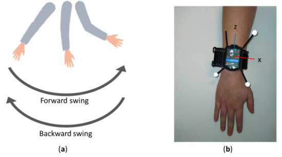 Quantification of Arm Swing during Walking in Healthy Adults and ...