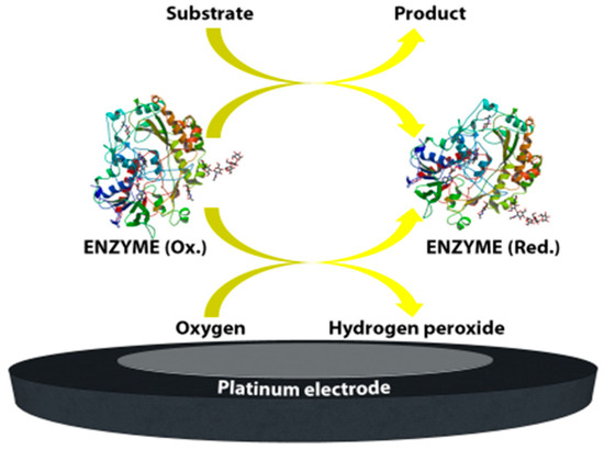 Sensors Free Full Text A Critical Review Of Electrochemical Glucose