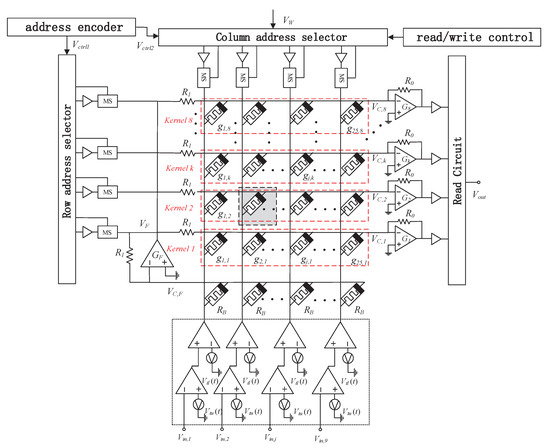 Convolution Kernel Operations on a Two-Dimensional Spin Memristor Cross Array