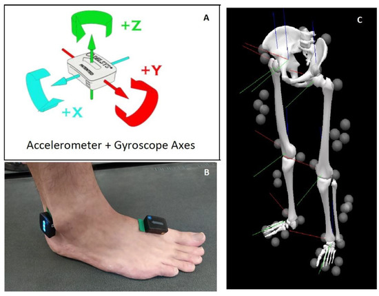 Agreement of Gait Events Detection during Treadmill Backward Walking by Kinematic Data and ...