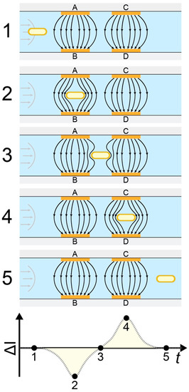 Investigating the Use of Impedance Flow Cytometry for Classifying the ...