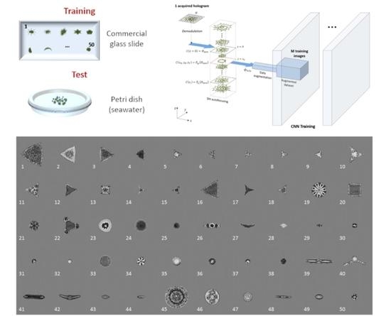 Sensors | Special Issue : Lensless Imaging and Computational Sensing