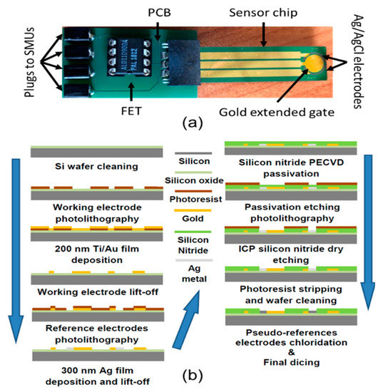 A Reliable BioFET Immunosensor for Detection of p53 Tumour Suppressor ...