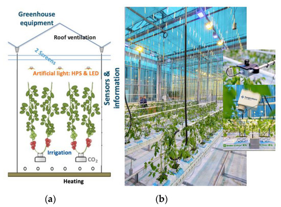 Cherry Tomato Production in Intelligent Greenhouses—Sensors and AI for ...