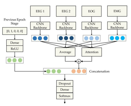 Multi-Branch Convolutional Neural Network for Automatic Sleep Stage ...