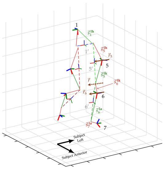 Body-Worn IMU Human Skeletal Pose Estimation Using a Factor Graph-Based Optimization Framework