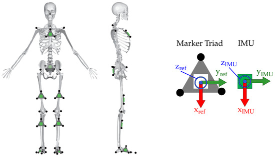 Body-Worn IMU Human Skeletal Pose Estimation Using a Factor Graph-Based ...
