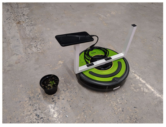 Real-Time Plant Leaf Counting Using Deep Object Detection Networks