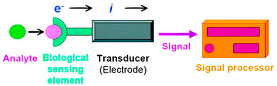 Biosensors for the Detection of Bacterial and Viral Clinical Pathogens