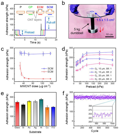 A Pressure-Insensitive Self-Attachable Flexible Strain Sensor with ...