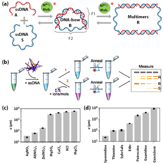Sensors | Free Full-Text | Mechanical Flexibility of DNA: A ...