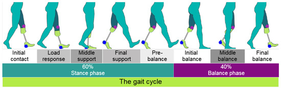 Interface Pressure System to Compare the Functional Performance of Prosthetic Sockets during the ...