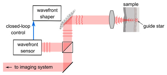 Wavefront Shaping Concepts for Application in Optical Coherence ...