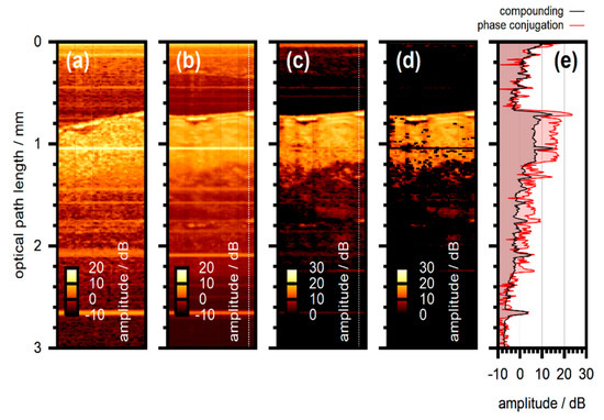Wavefront Shaping Concepts for Application in Optical Coherence ...