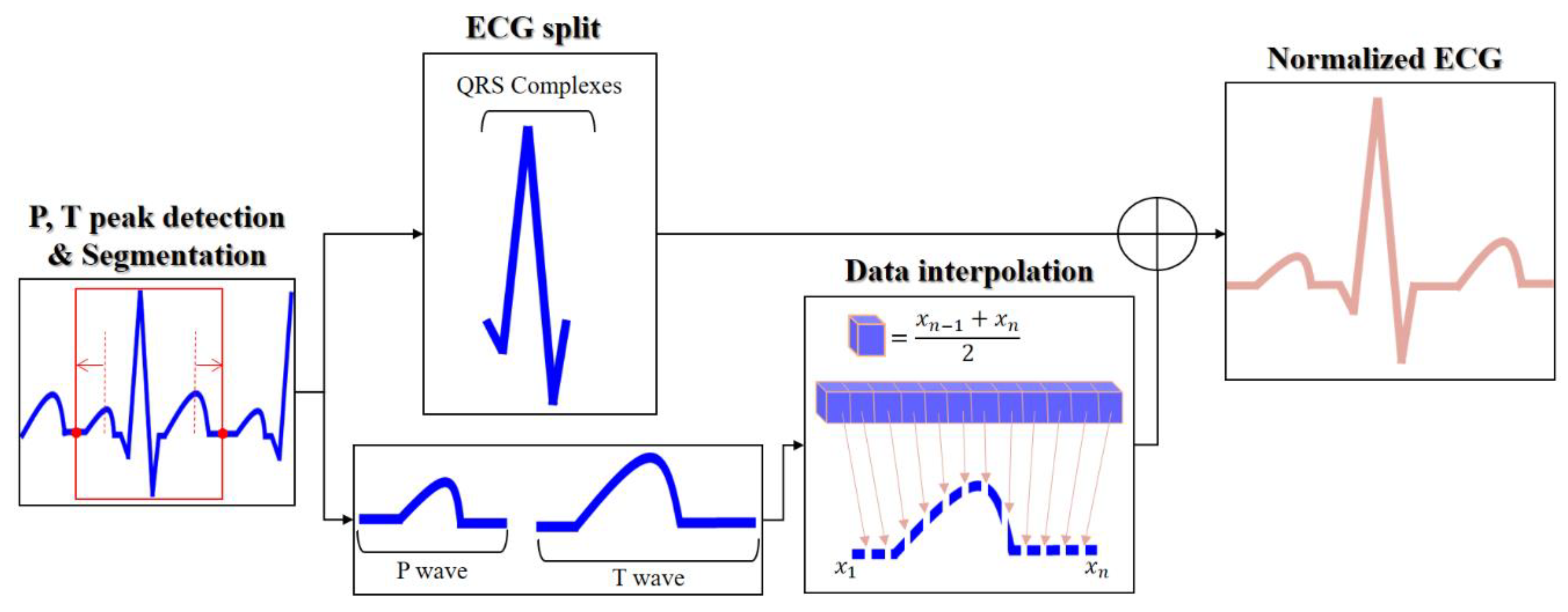 Recognition System Using Fusion Normalization Based on Morphological Features of Post-Exercise ...