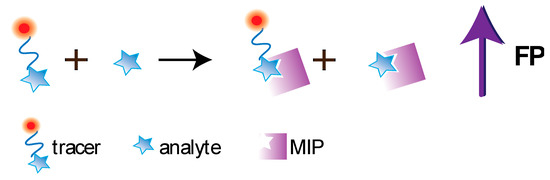 Fluorescence Polarization-Based Bioassays: New Horizons