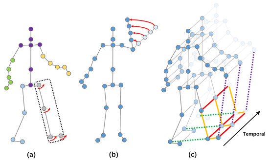 Whole and Part Adaptive Fusion Graph Convolutional Networks for Skeleton-Based Action Recognition