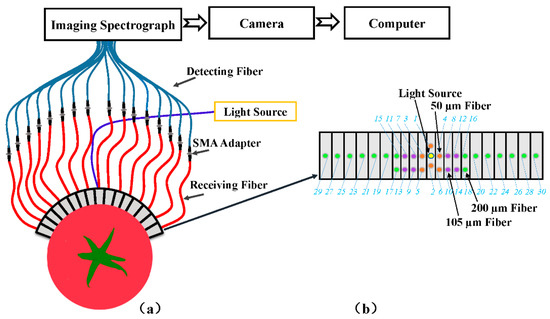 Sensors | Free Full-Text | Assessment of Tomato Maturity in Different ...