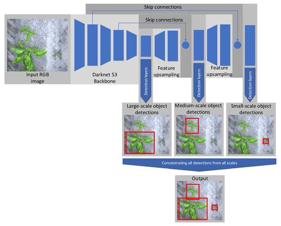 Application-Specific Evaluation of a Weed-Detection Algorithm for Plant ...