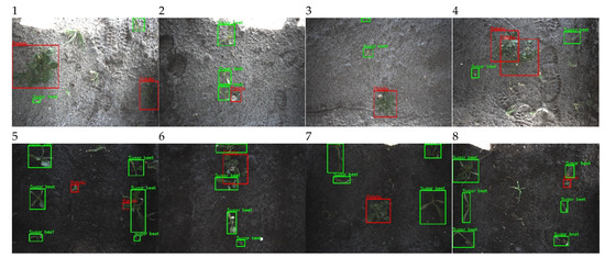 Application-Specific Evaluation of a Weed-Detection Algorithm for Plant-Specific Spraying