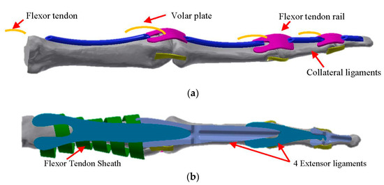 Human Hand Anatomy-Based Prosthetic Hand