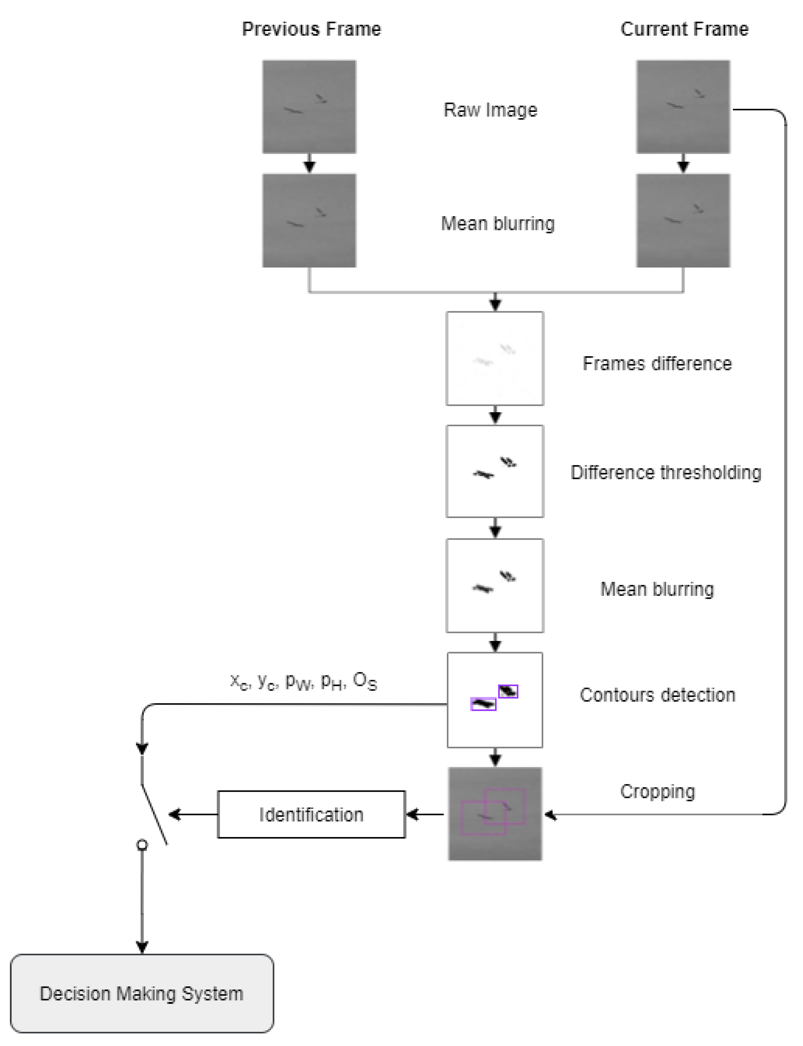 Comprehensive Bird Preservation at Wind Farms
