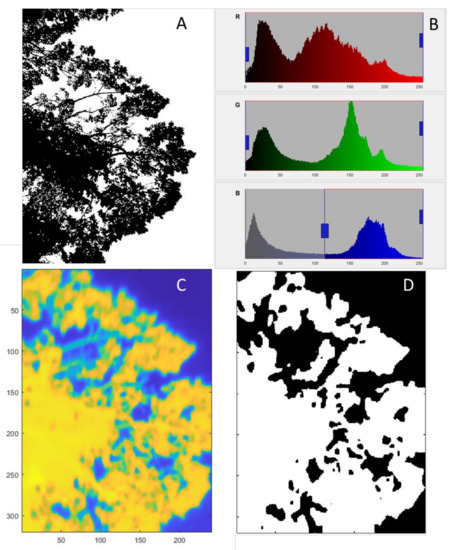 Urban Green Infrastructure Monitoring Using Remote Sensing from ...