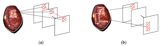 FAR-Net: Feature-Wise Attention-Based Relation Network for Multilabel Jujube Defect Classification