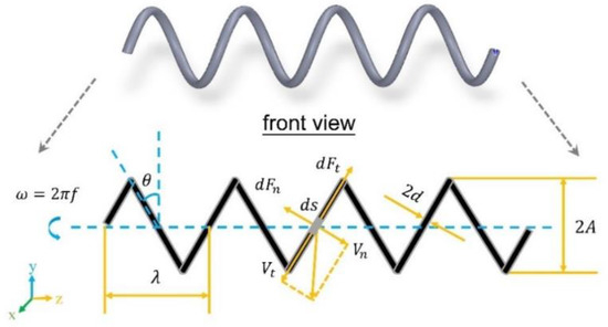 Enhancing Swimming Performance by Optimizing Structure of Helical Swimmers