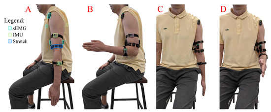 Elbow Motion Trajectory Prediction Using a Multi-Modal Wearable System ...