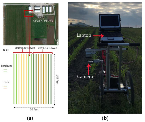 A Convolutional Neural Network-Based Method for Corn Stand Counting in the Field