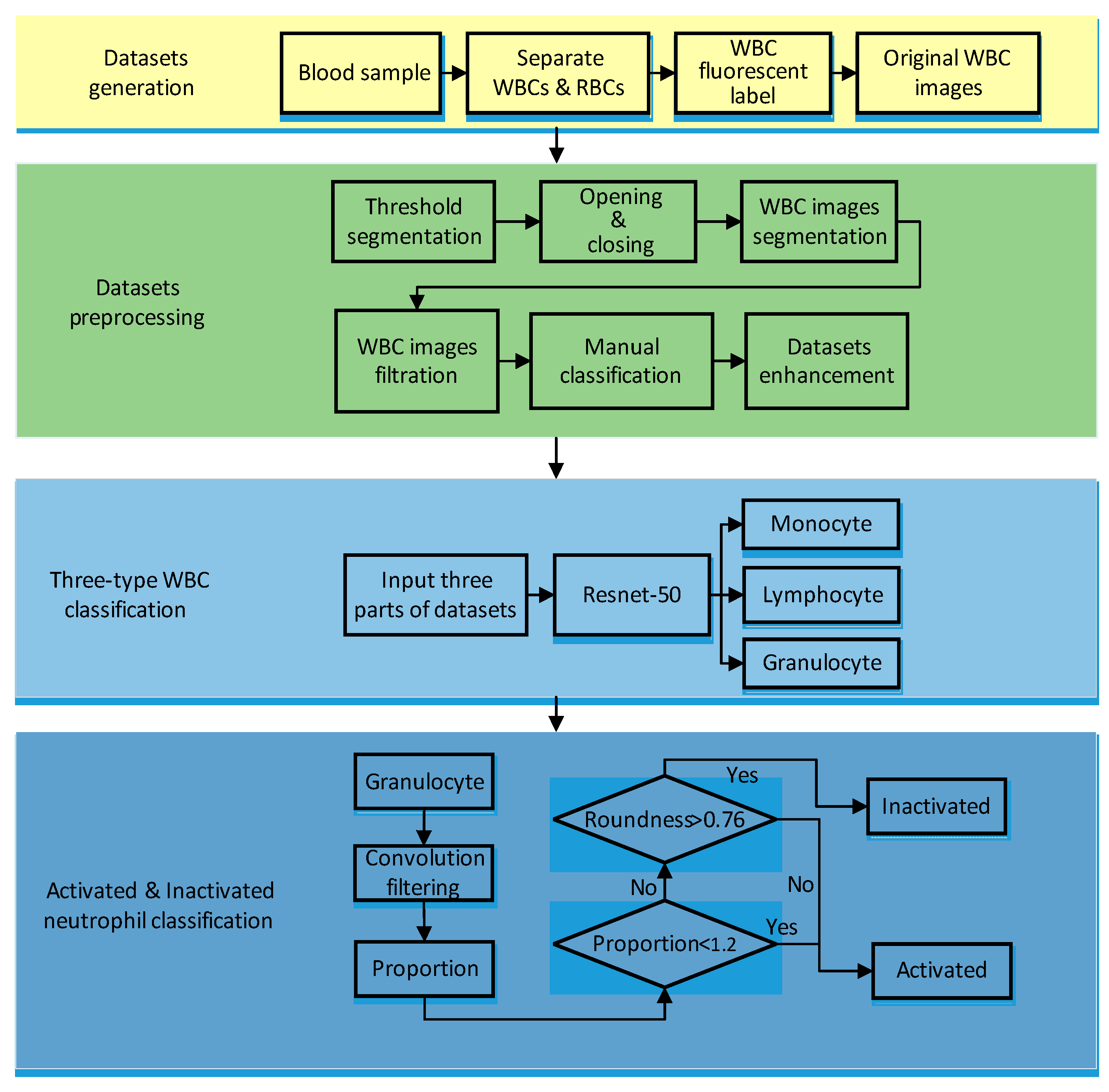 Deep-Learning Based Label-Free Classification of Activated and ...