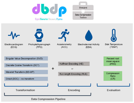 Biosignal Compression Toolbox for Digital Biomarker Discovery