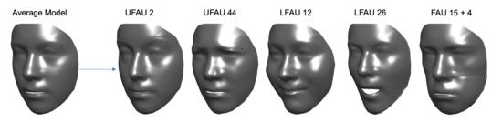 Action Unit Detection by Learning the Deformation Coefficients of a 3D Morphable Model