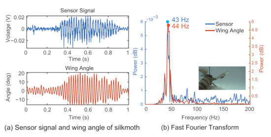 Wearable Vibration Sensor for Measuring the Wing Flapping of Insects