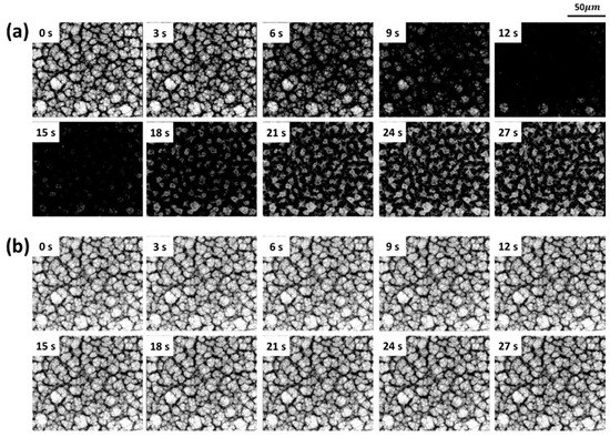 Self-Assembled Monolayers Coated Porous SnO2 Film Gas Sensor with ...