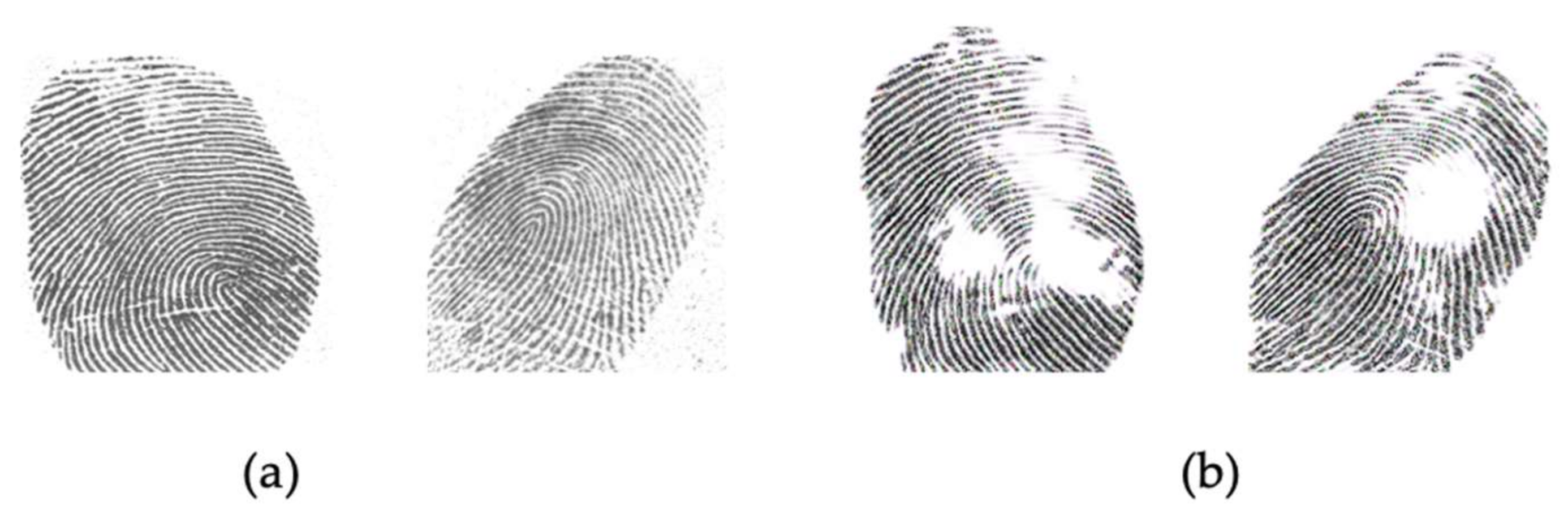 Transformers and Generative Adversarial Networks for Liveness Detection in Multitarget ...