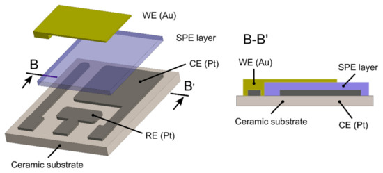 An Electrochemical Amperometric Ethylene Sensor with Solid Polymer ...