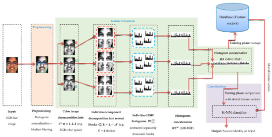 Multi-Block Color-Binarized Statistical Images for Single-Sample Face Recognition