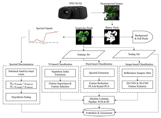 Early Detection of Plant Viral Disease Using Hyperspectral Imaging and ...