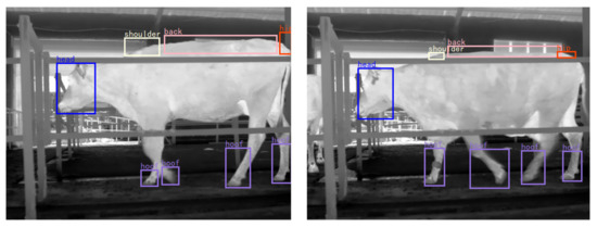 A Review: Development of Computer Vision-Based Lameness Detection for Dairy Cows and Discussion ...