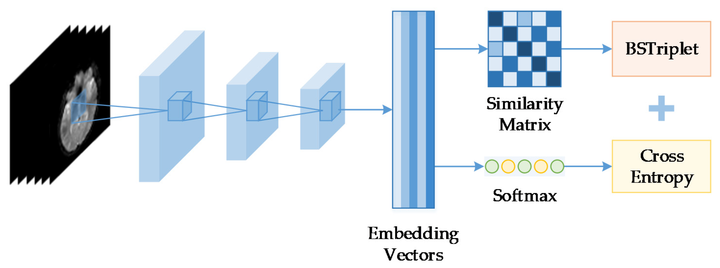 Batch Similarity Based Triplet Loss Assembled into Light-Weighted Convolutional Neural Networks ...