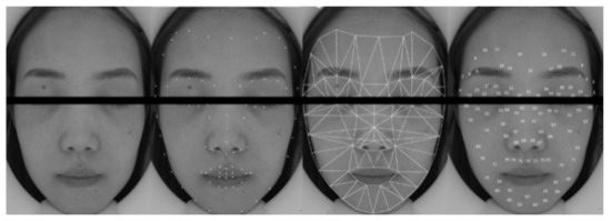 An iPPG-Based Device for Pervasive Monitoring of Multi-Dimensional ...