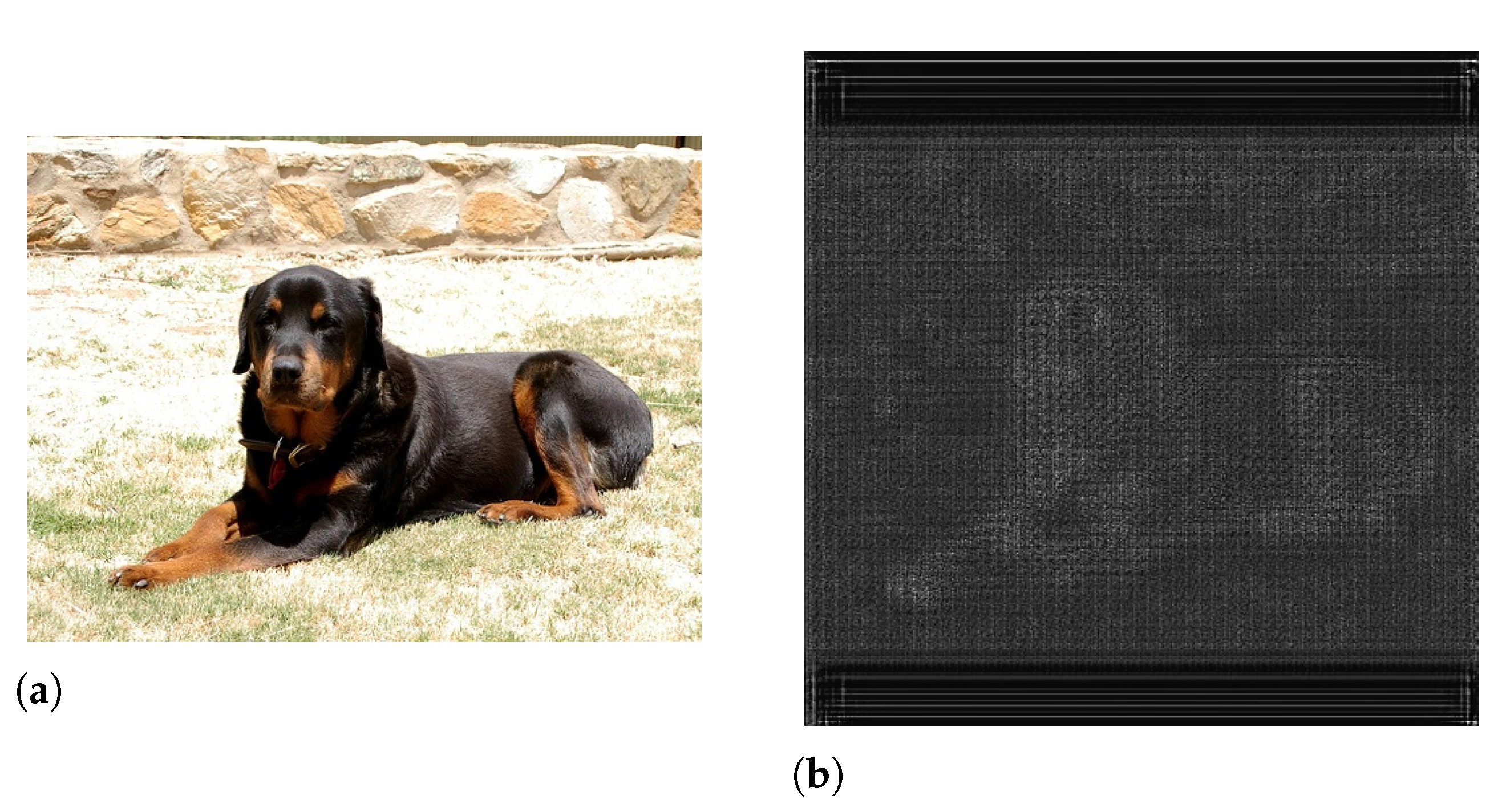 Sensors | Free Full-Text | Auto-Tiler: Variable-Dimension Autoencoder with Tiling for ...