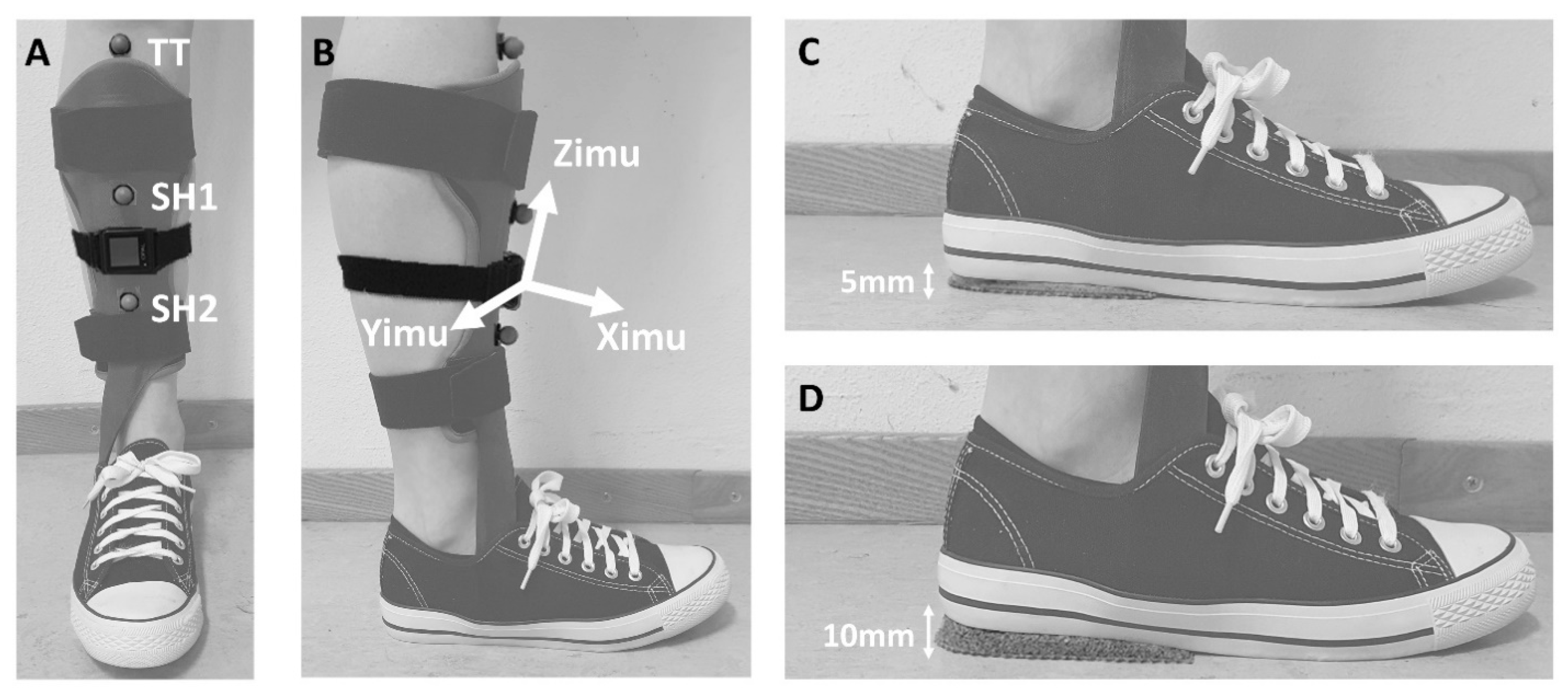 Assessment of the Shank-to-Vertical Angle While Changing Heel Heights ...