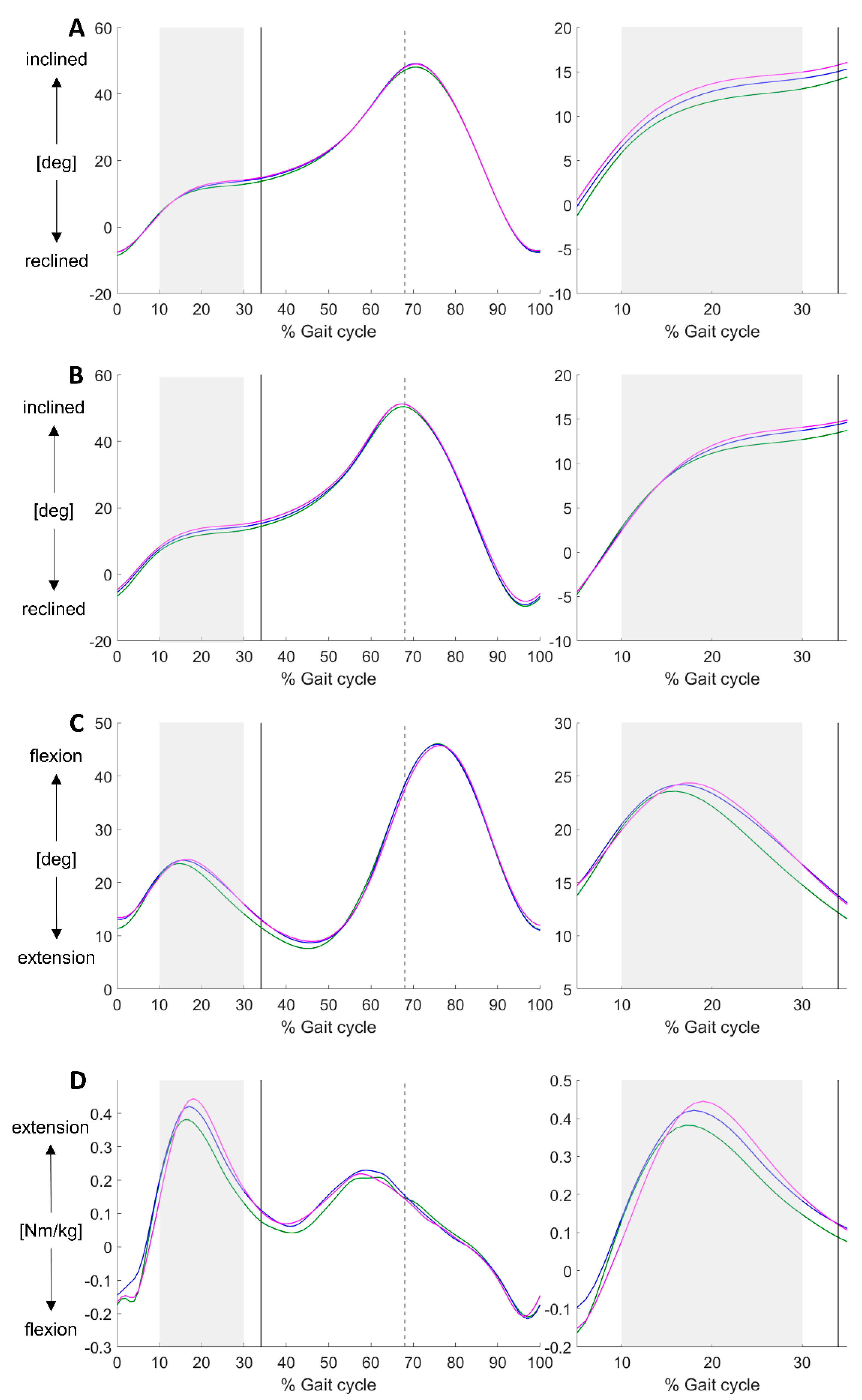 Assessment of the Shank-to-Vertical Angle While Changing Heel Heights ...