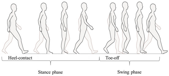 Gait Phase Detection Based on Muscle Deformation with Static Standing ...